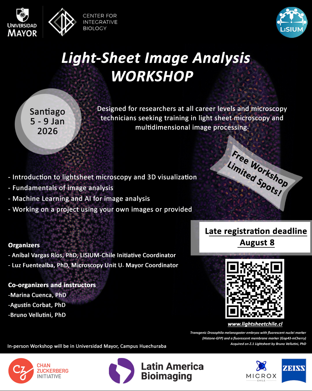 Light-Sheet Image Analysis Workshop 2026 – lightsheetchile